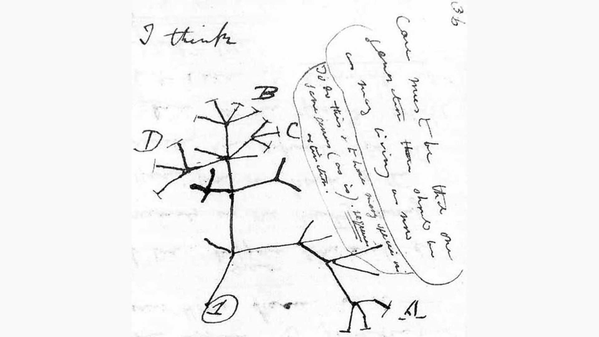 7 ways new species form — a look into speciation