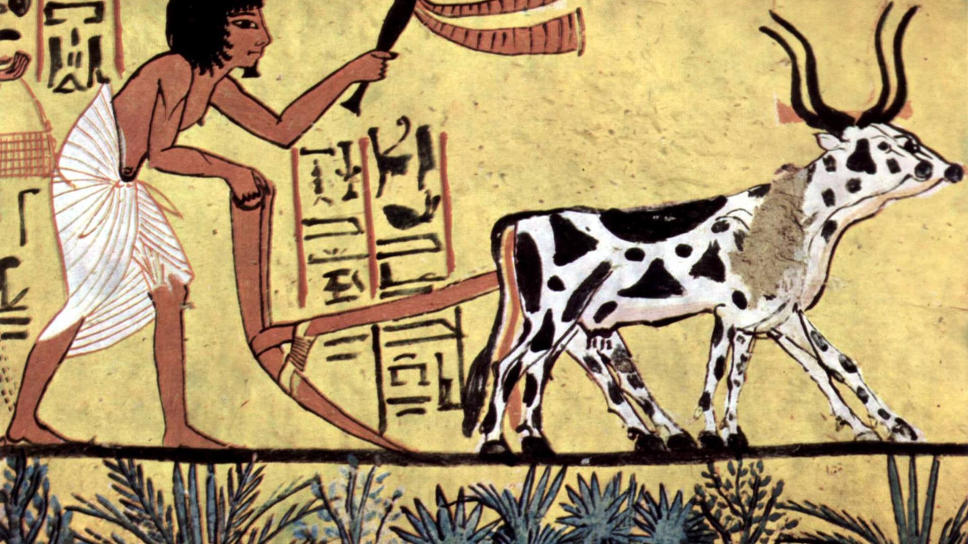 8 agricultural inventions that transformed the world