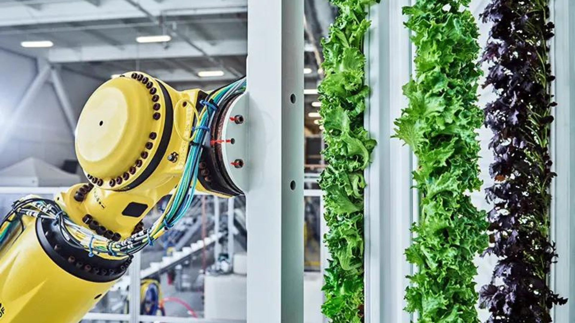 High-tech robot farm is transforming traditional agriculture