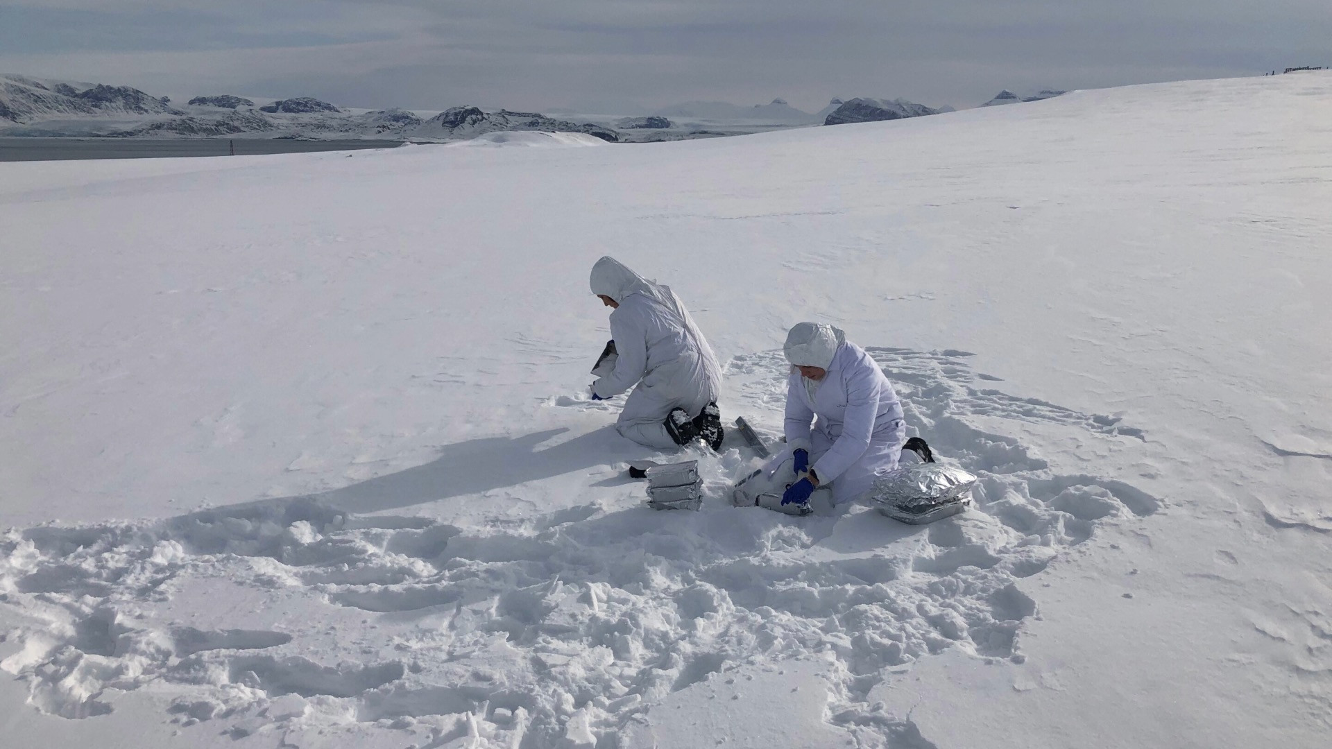 Sunscreen agents detected in Arctic snow samples for the first time