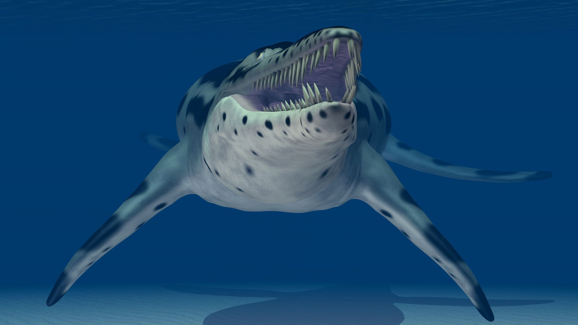 Skull of a colossal pliosaur dinosaur unveiled in Dorset