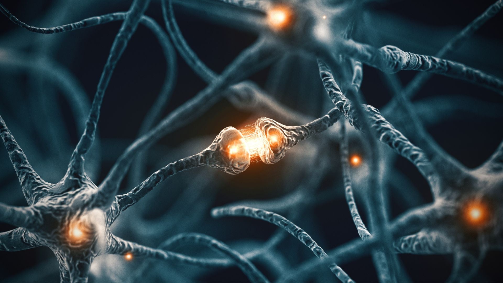 Human brain outshines mice in neuronal computing studies