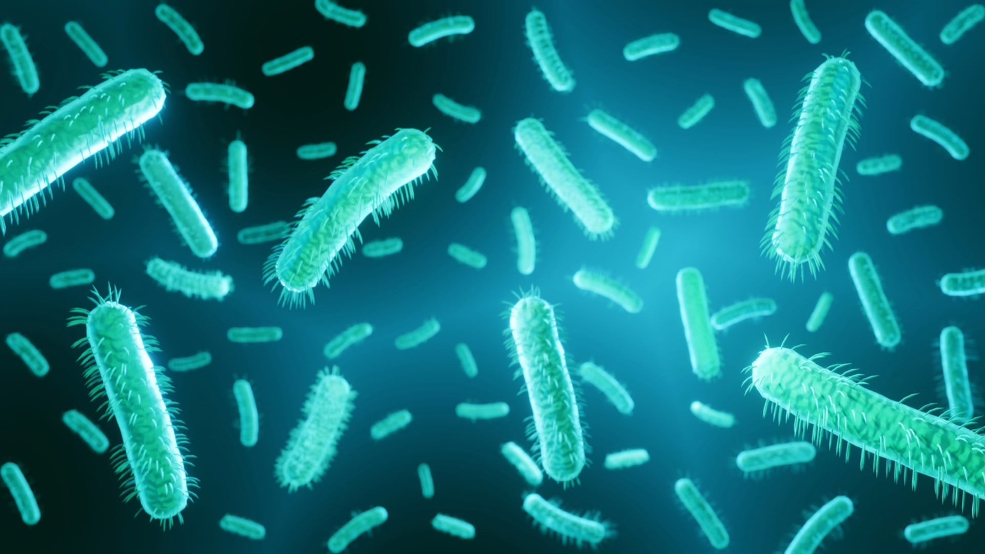 Researchers create polymers for efficient bacterial killing