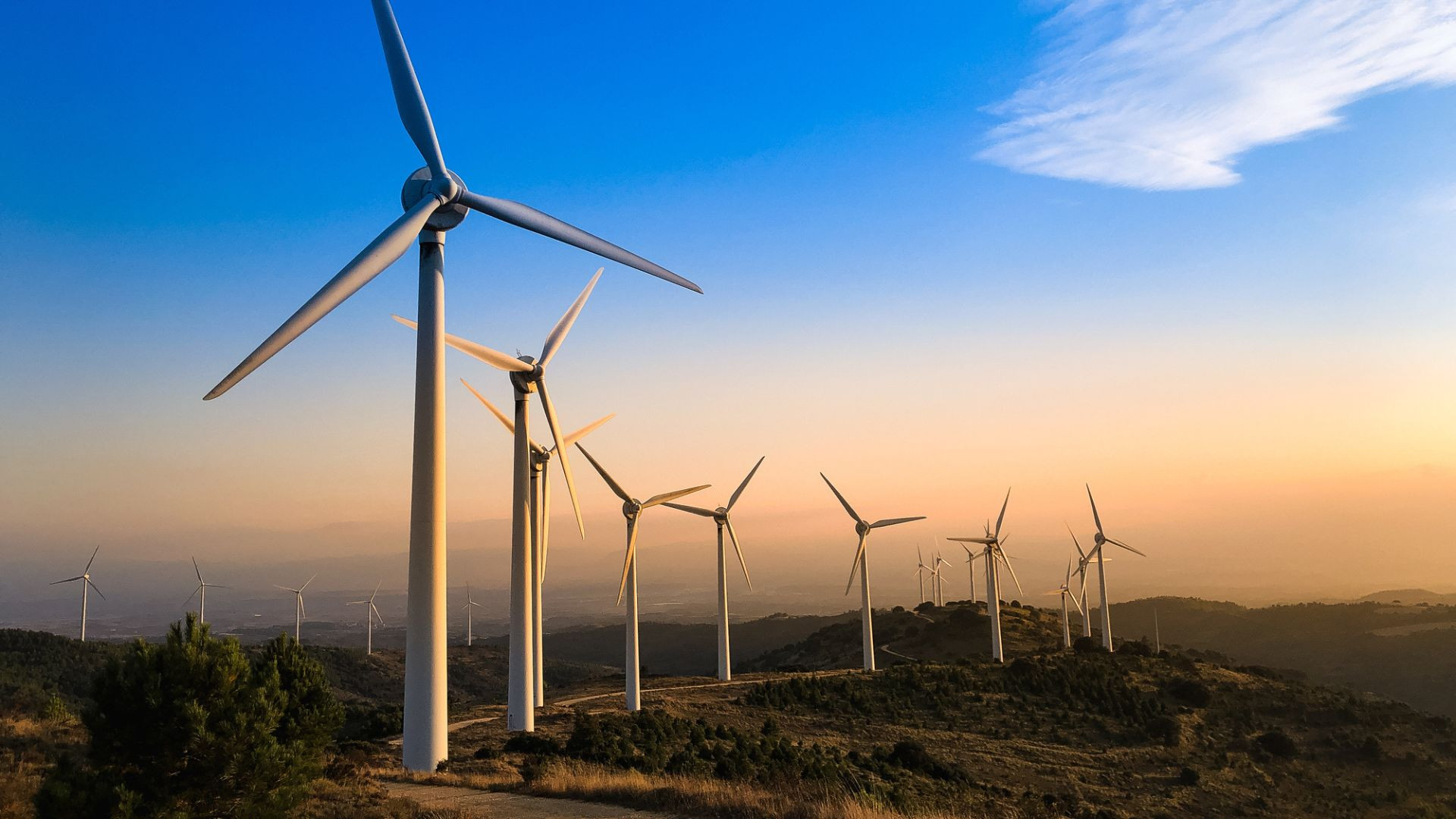 Renewable energy makes up half of Spain’s electricity in 2023