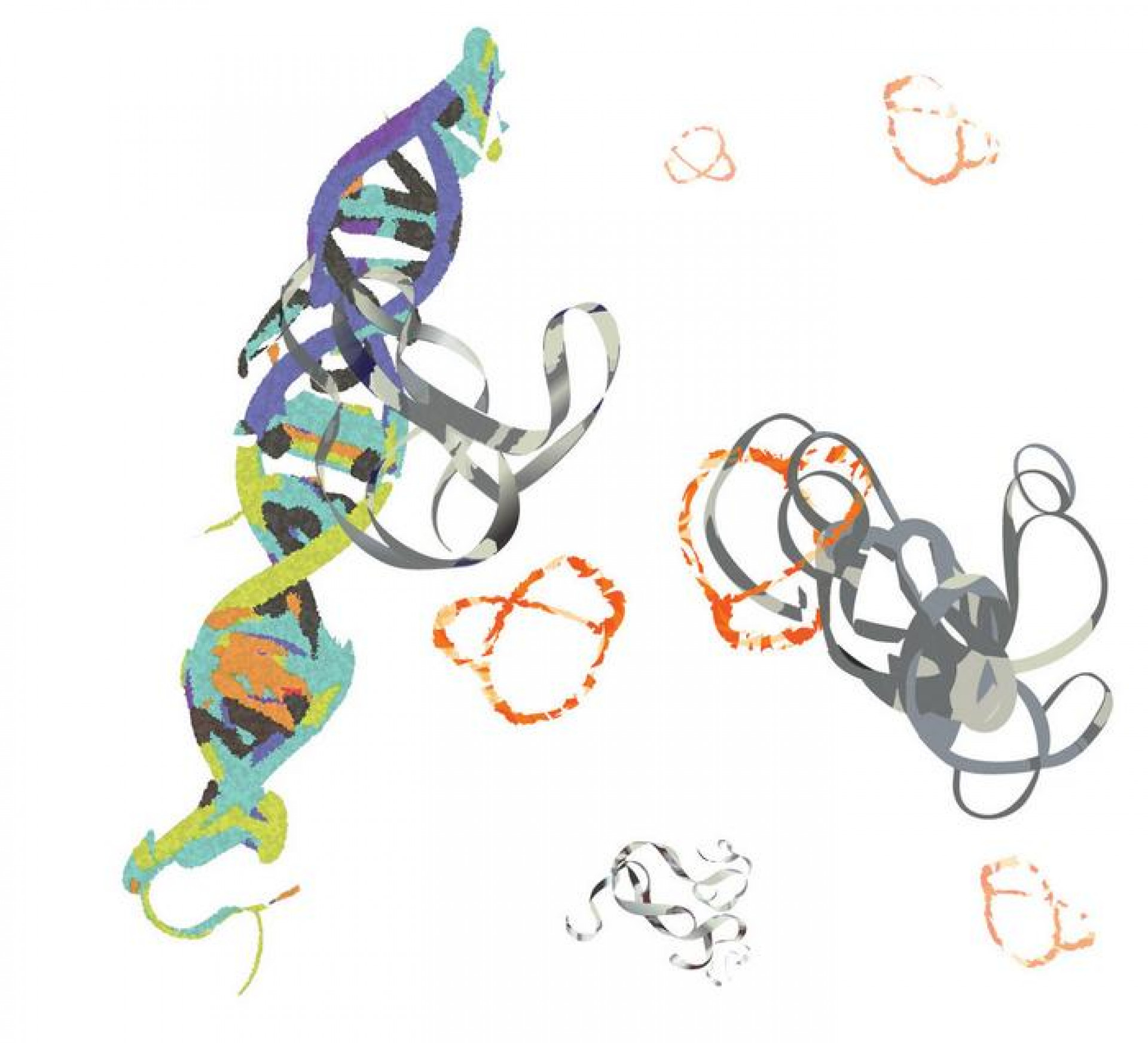 Scientists succeed in taming protein of worse cancer cases