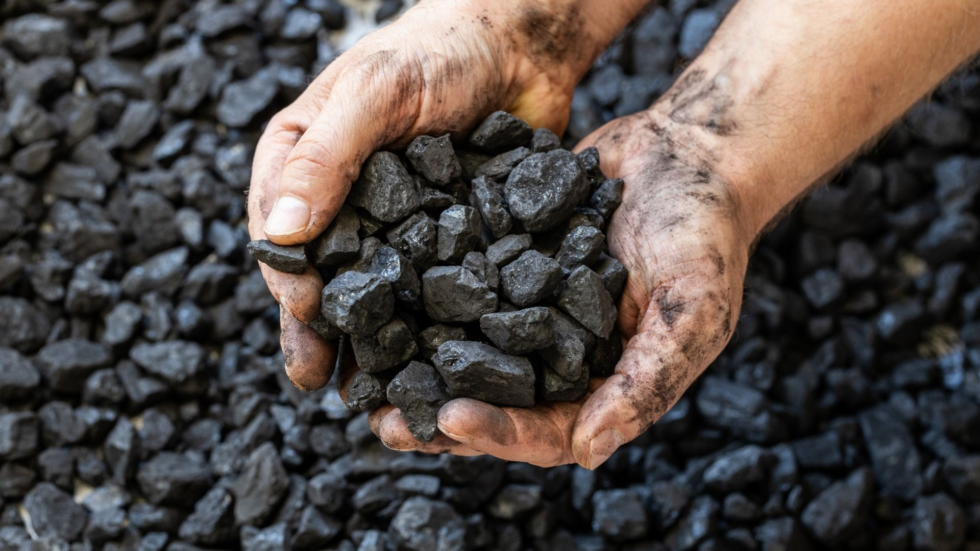 Chinese scientists transform coal into efficient animal feed protein