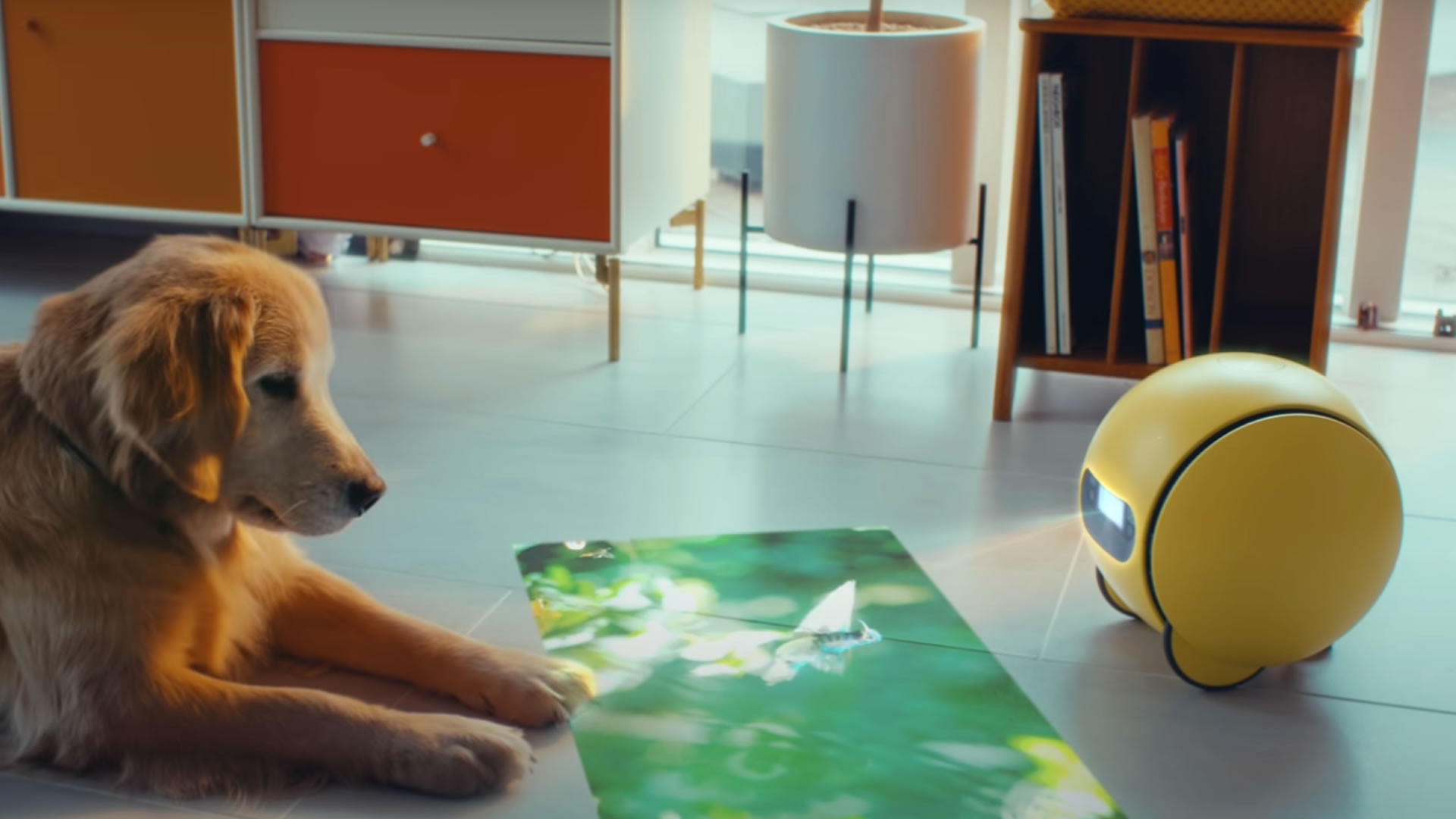 Samsung's Ballie robot is back with a vengeance at CES 2024