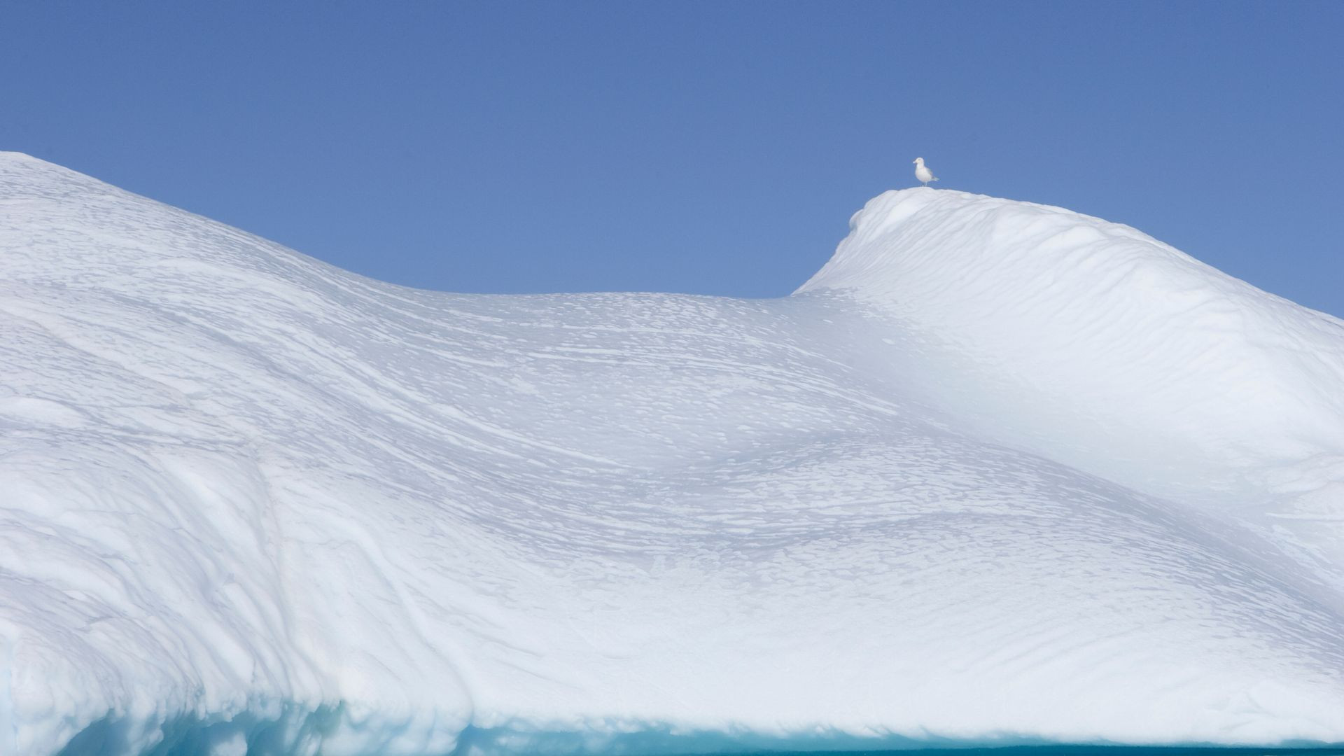 A23a Iceberg: Erosion sculpts caves and arches on World's biggest ...