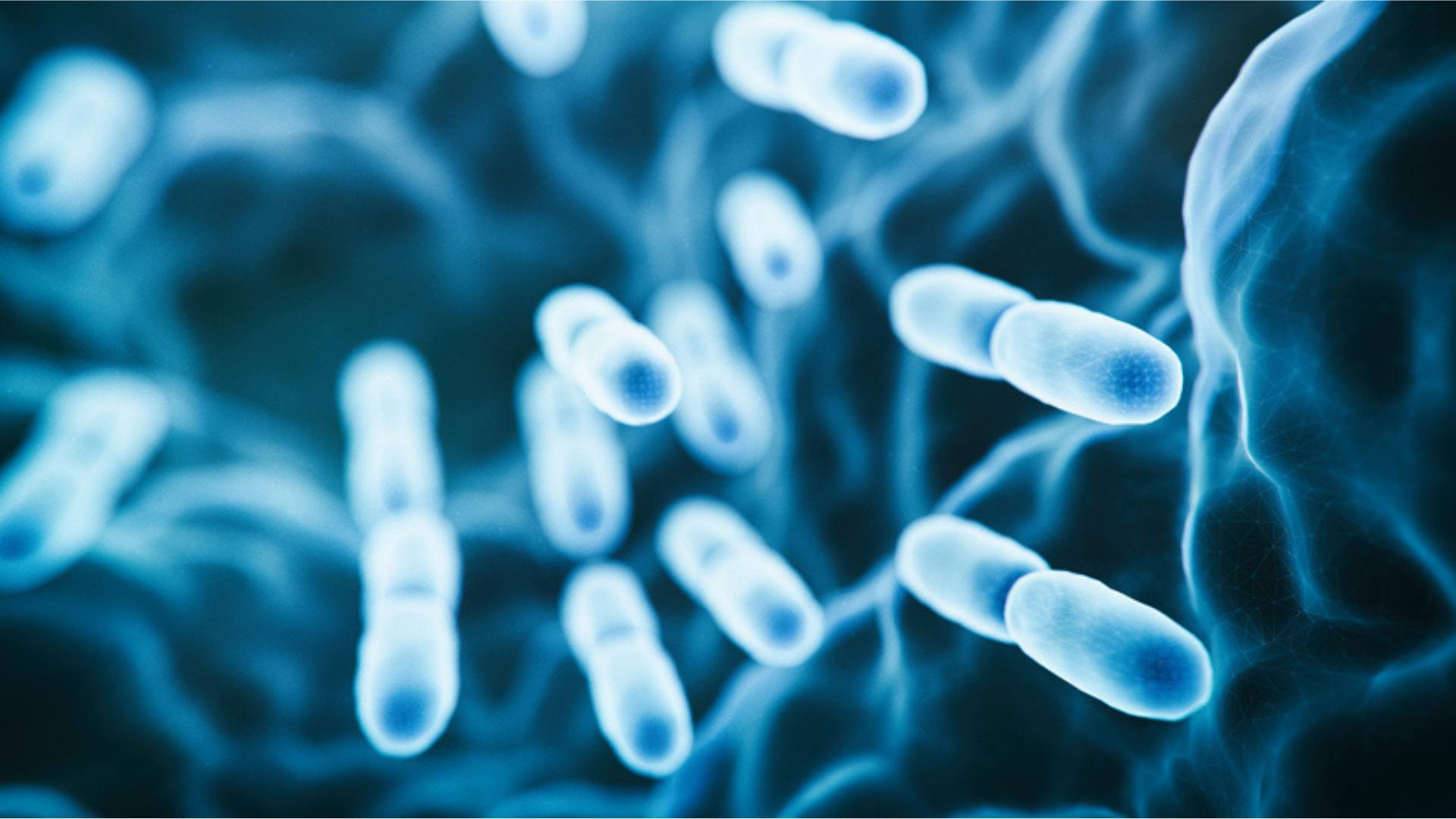 Could the reversal of evolution solve antibiotic resistance?
