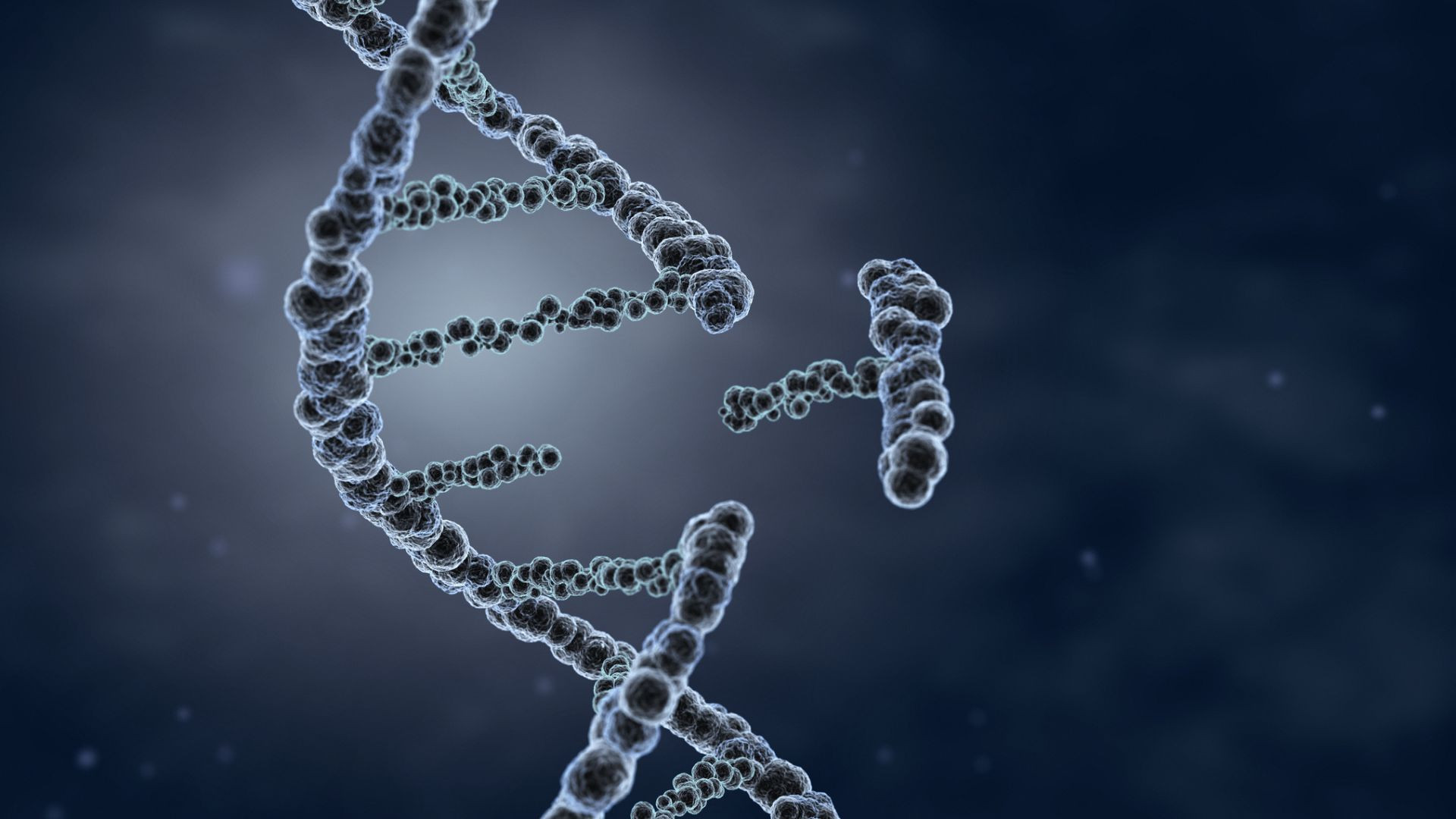 Scientists study key steps in the road to DNA repair breakthrough