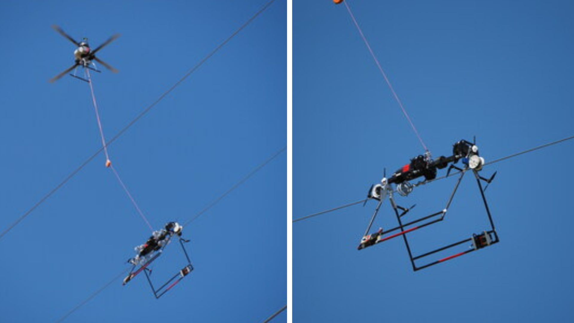 Drone-based bot stops birds from crashing into power lines