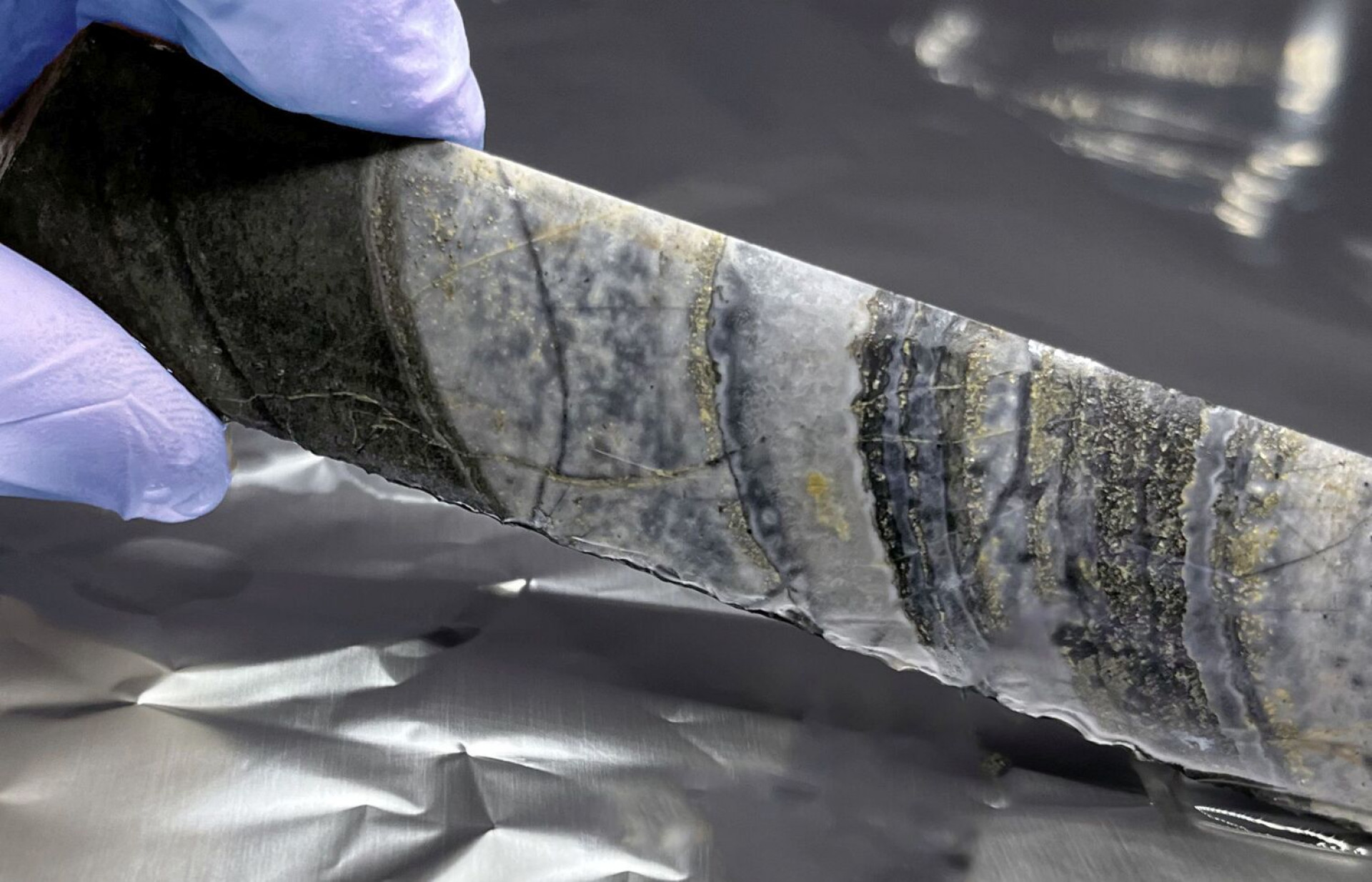 Earth's oldest rocks reveal diverse microbial ecosystem