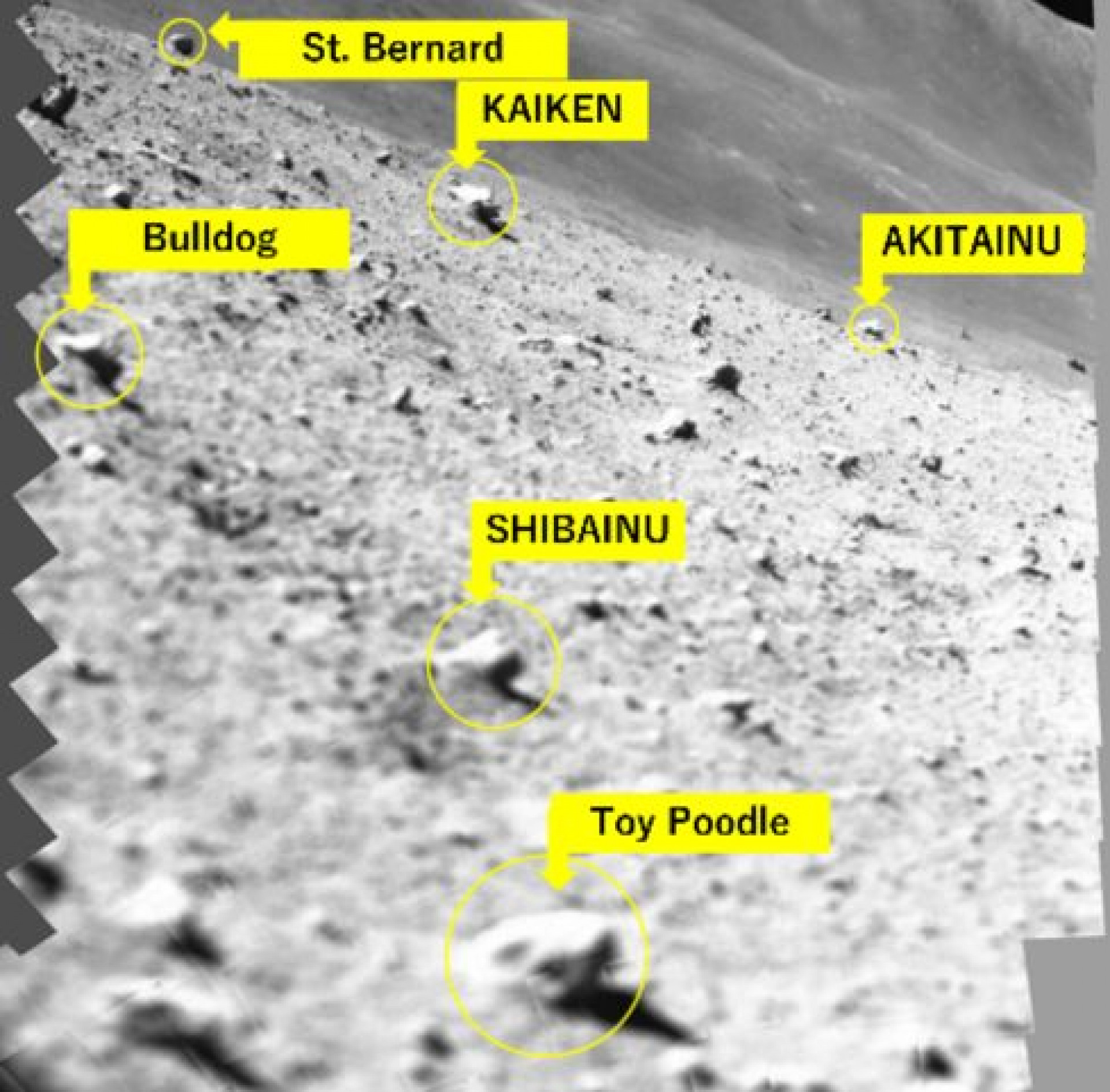 SLIM Moon Lander Images: Japan lunar mission sends first photos back home