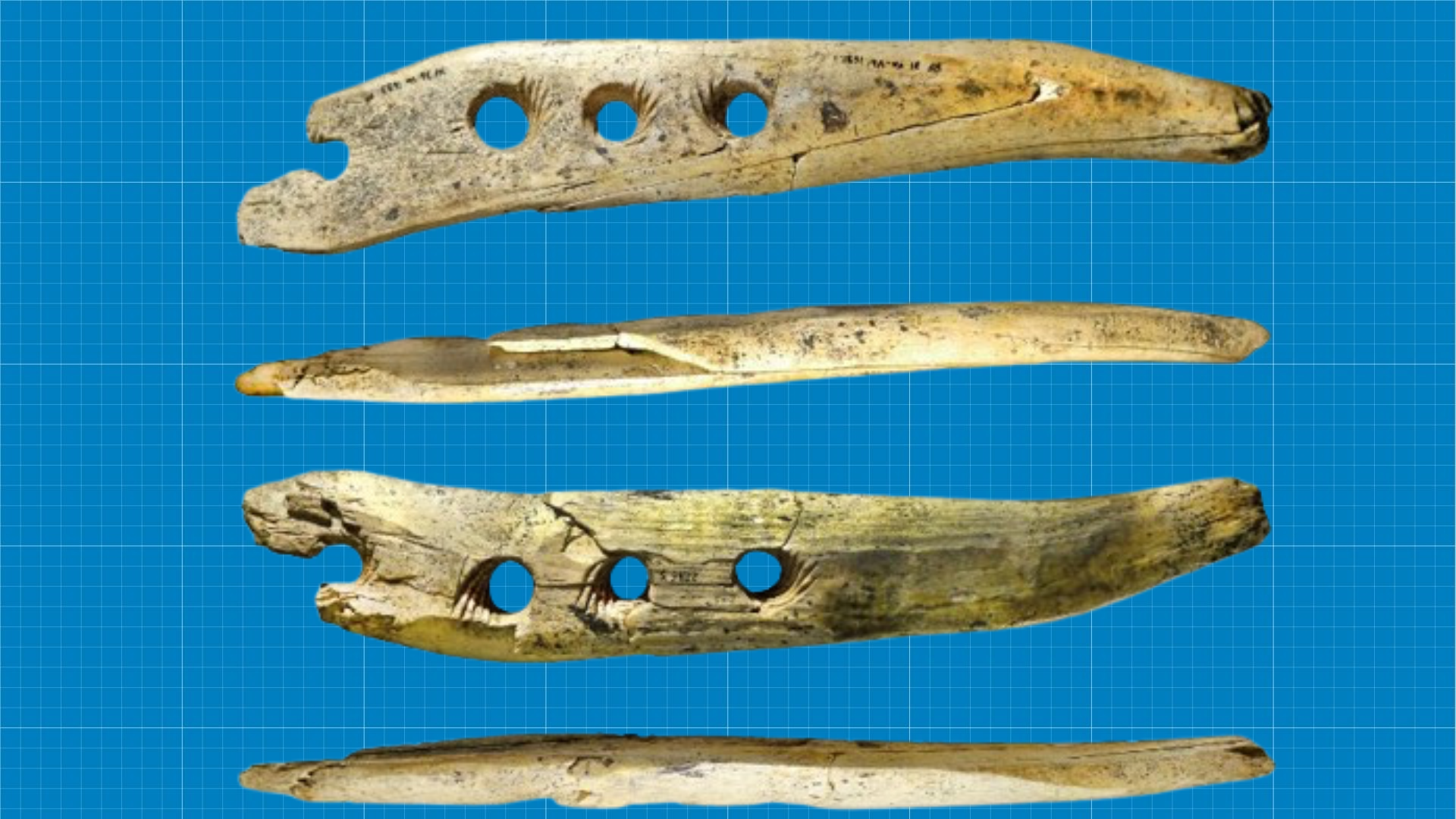 35,000-year-old ivory baton was not just a piece of art