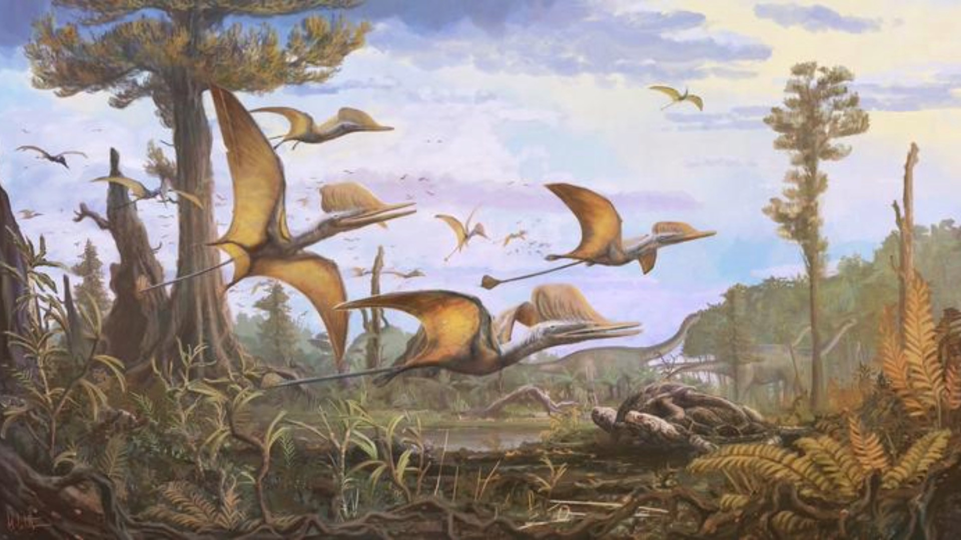 Pterosaur: Jurassic era flying dinosaur unearthed on Isle of Skye