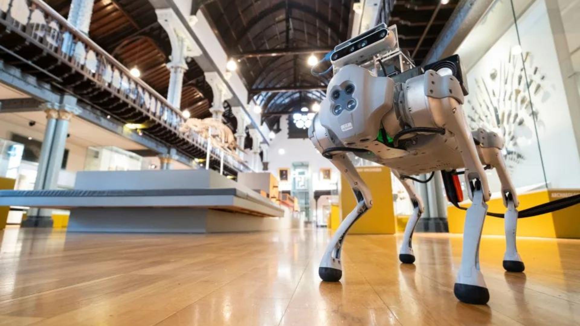 RoboGuide: An AI robot aids visually impaired with movement