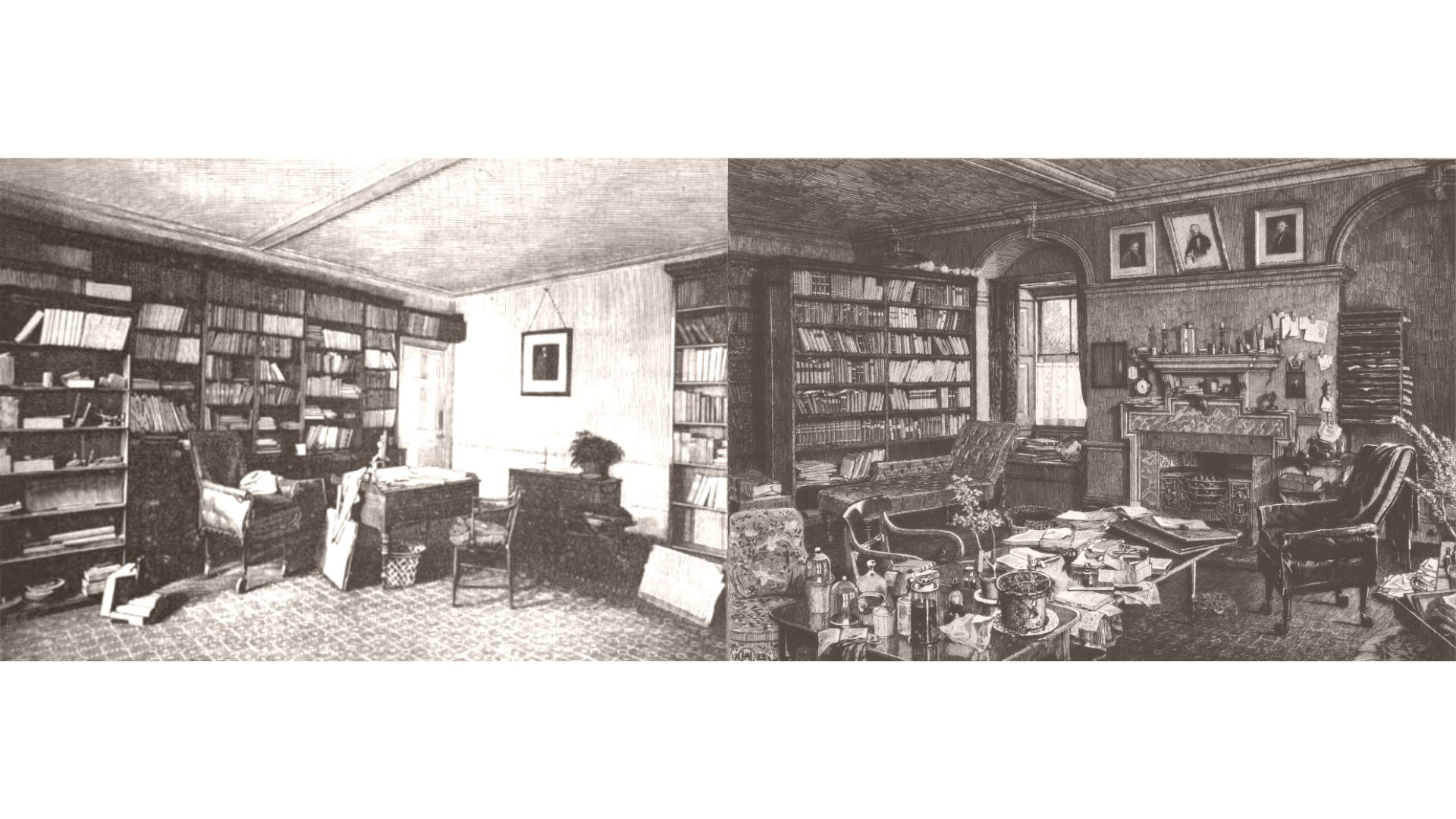 In photos: Charles Darwin's personal library unveiled for the first time