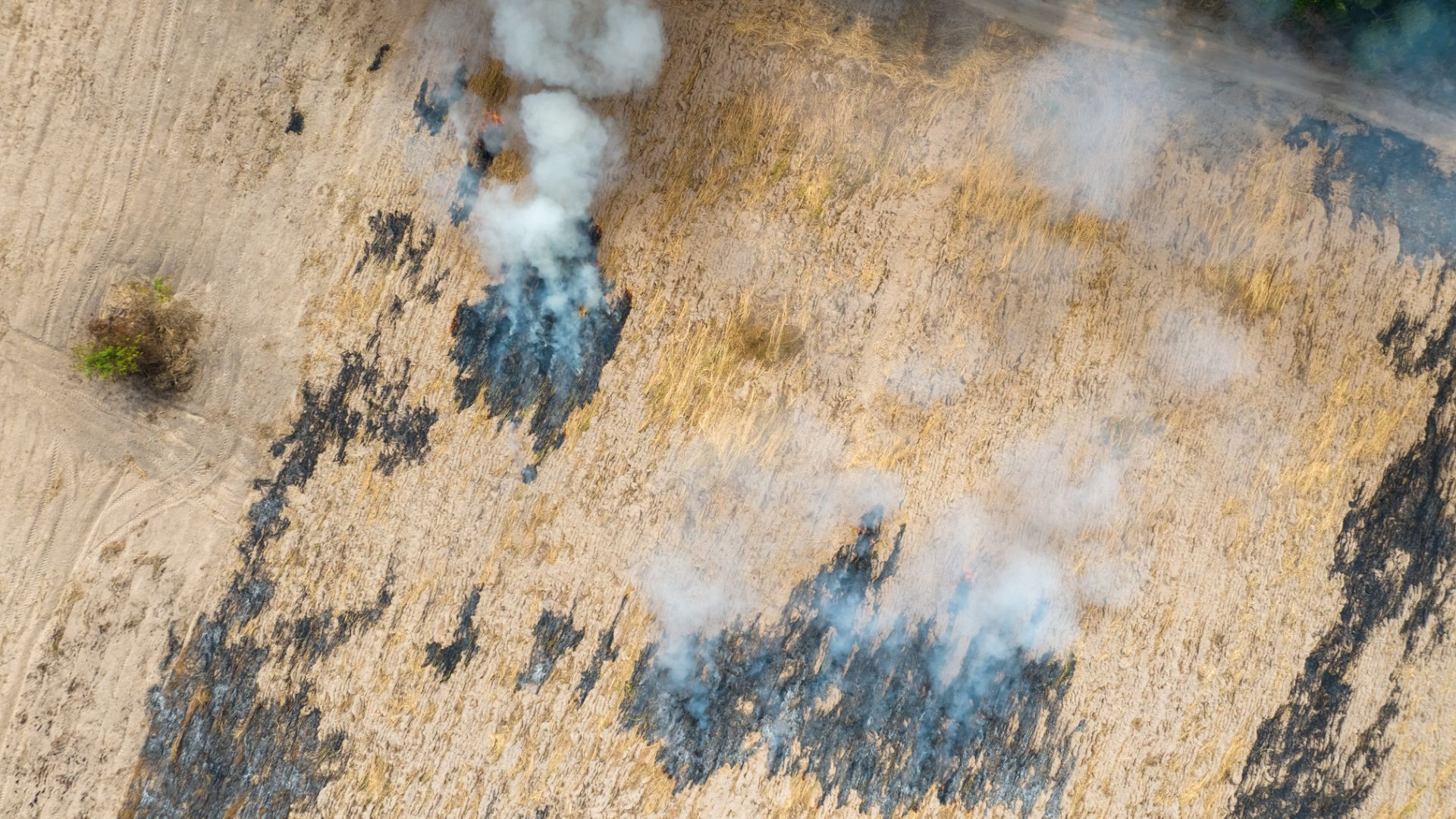 Ai Backed Methane Measuring Satellite To Spot Emissions