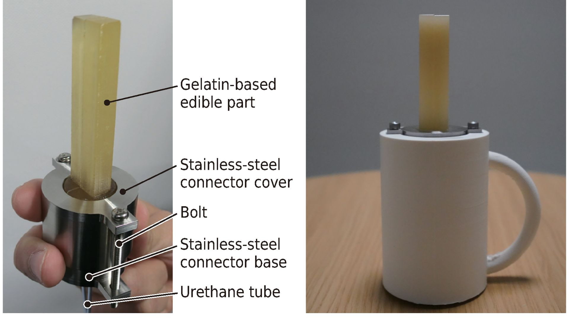 Japan's handheld edible robot takes a bite out of science