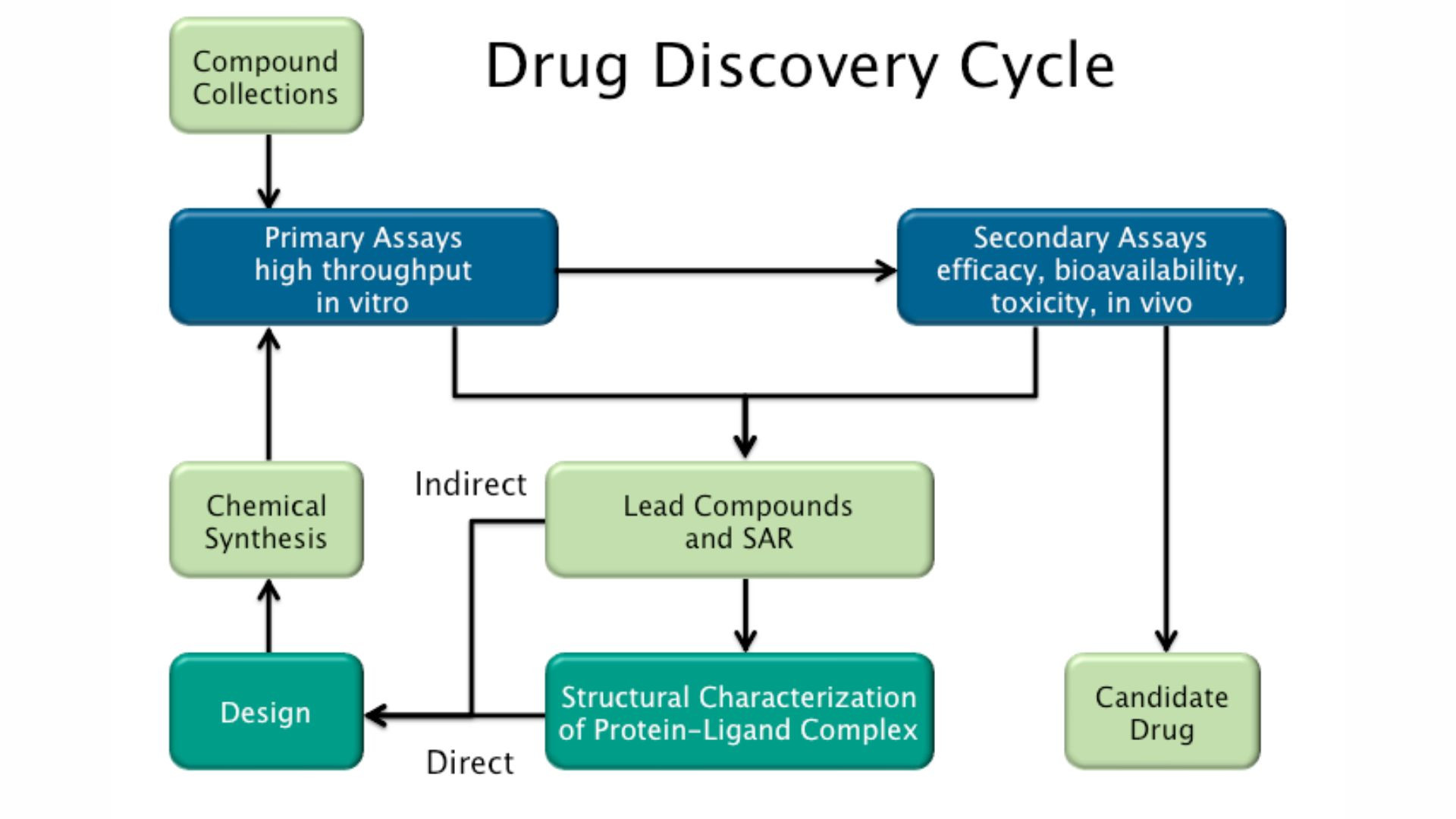 Here's how ETH Zurich scientists accelerate drug discovery using AI