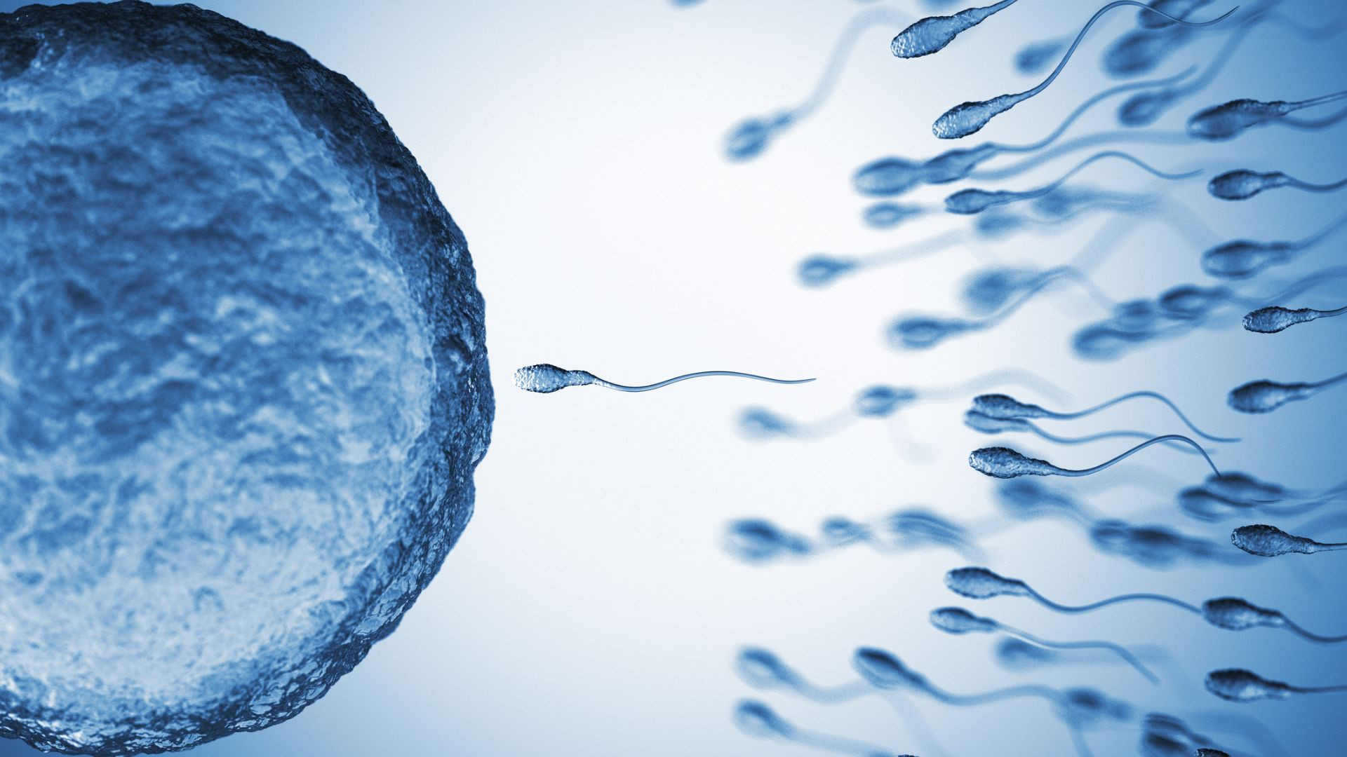 Scientists unlock key to reversible, non-hormonal male birth control