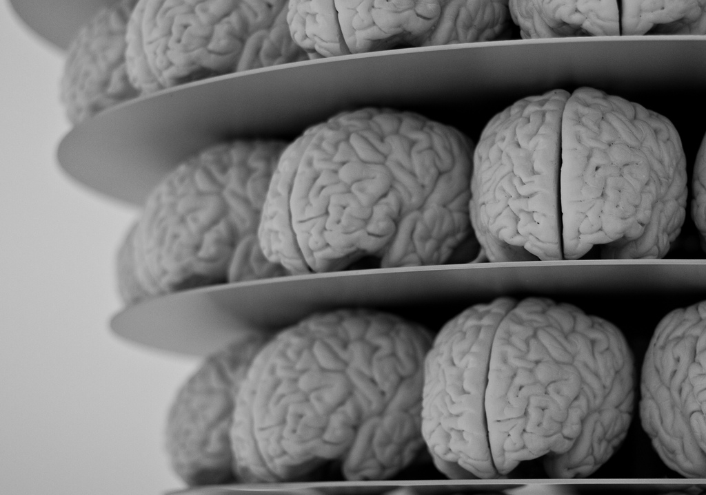 Scientists Uncover More Knowledge About How Our Brain Files Memories