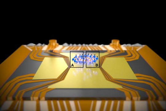 Unique Physics Paradox Observed for the First Time in Many-Particle System