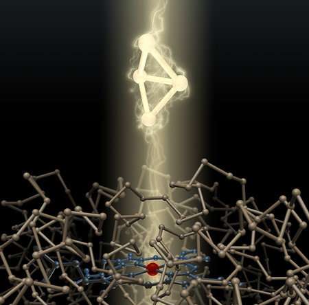 Scientists Engineer Bacteria That Create Energy-Packed Rings