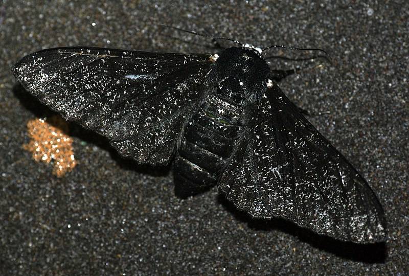 This Study May Be The Final Nail In the Coffin For the Debate Over ...