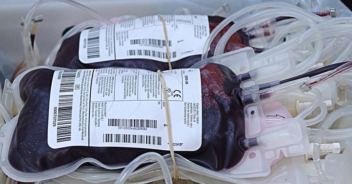 Gut Bacteria Can Now Convert All Blood Types Into Much-Needed Universal O