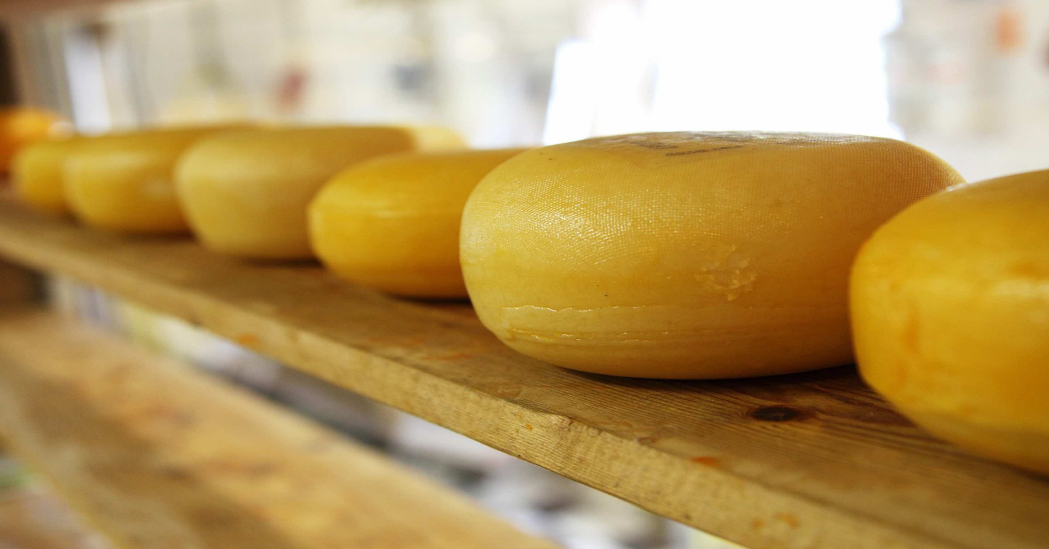 Oldest Solid Cheese in the World Found Inside 3,300-Year-Old Egyptian Tomb