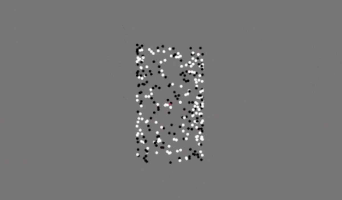 This Optical Illusion Could Help Scientists Detect Autism Traits