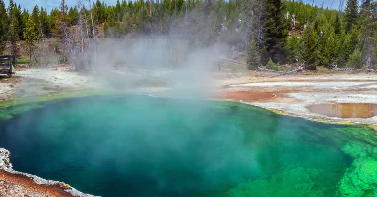 Acid Pool Yellowstone National Park