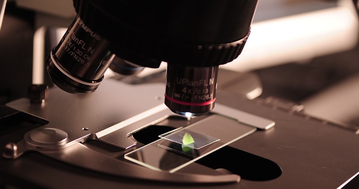 12 Amazing Science Facts You Probably Didn't Know.