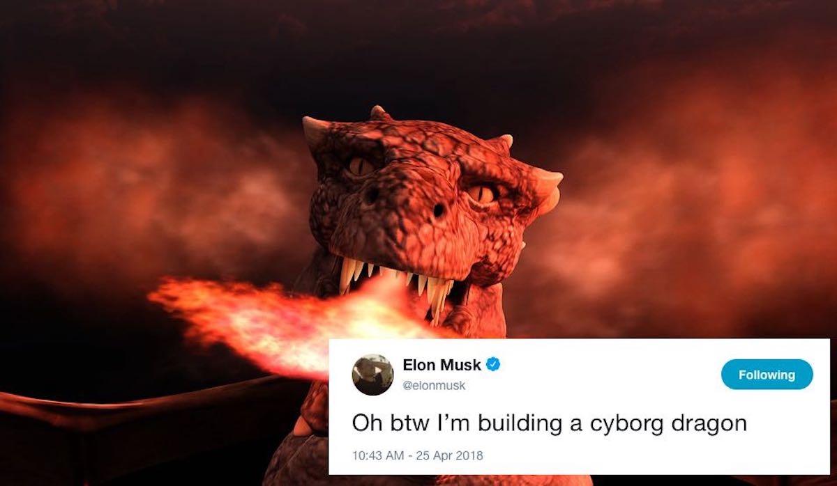 Elon Musk Dragon