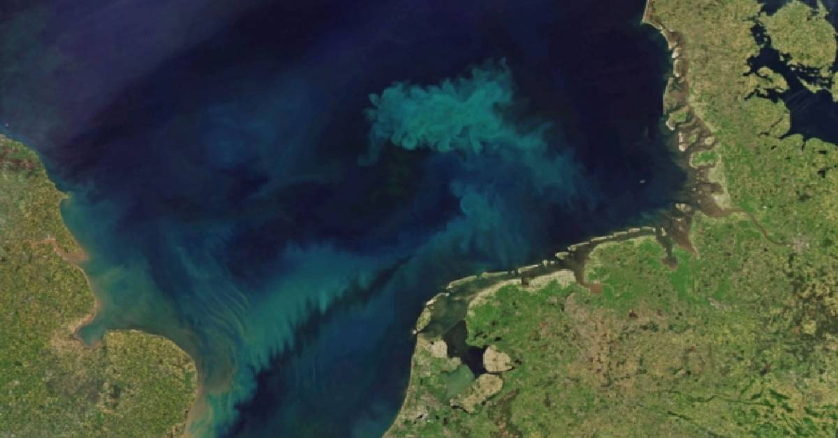 Study Reveals the Ocean Will Shift Color This Century