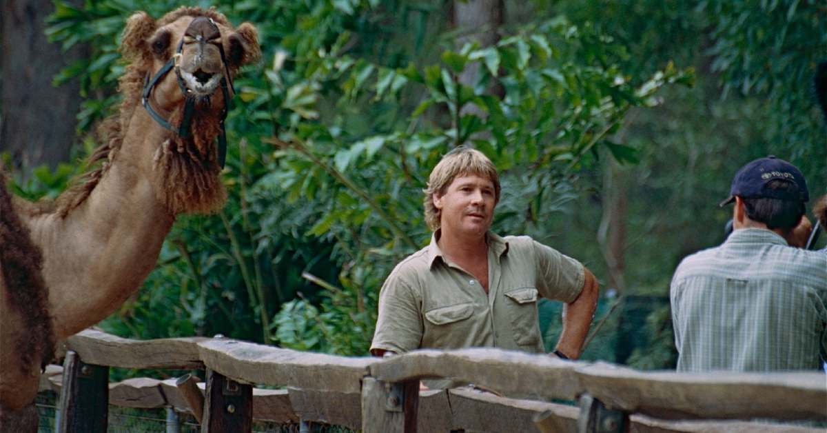 Thanks Mate: Reflecting on Steve Irwin and What We Lost