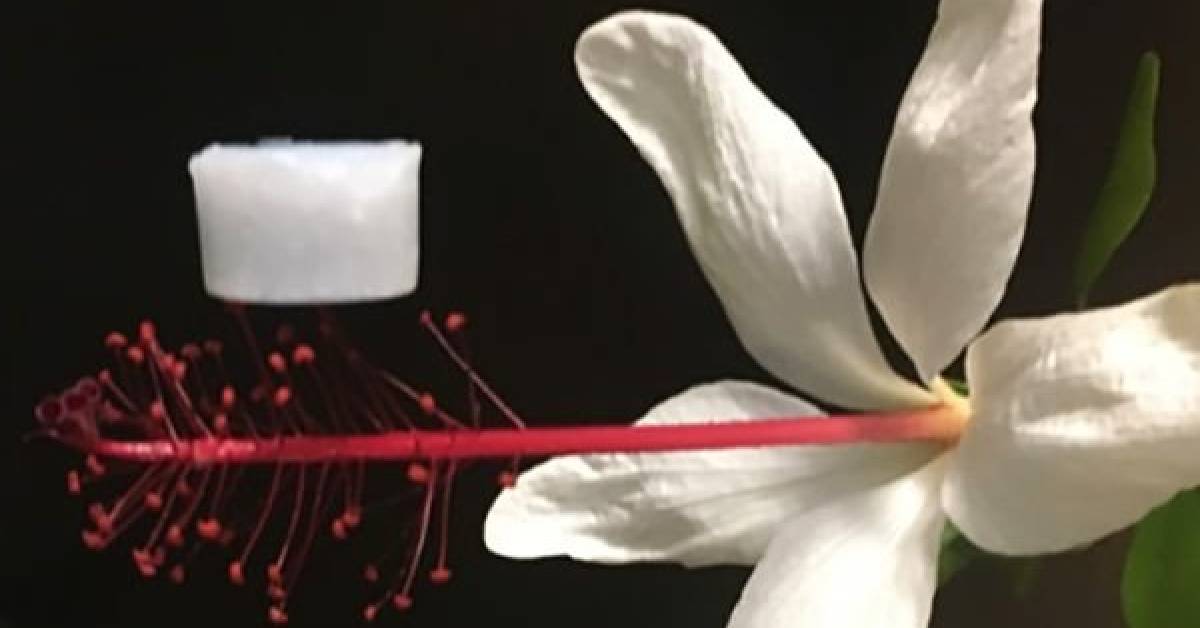 Ultra-light Durable Ceramic Material Withstands Extreme Temperatures