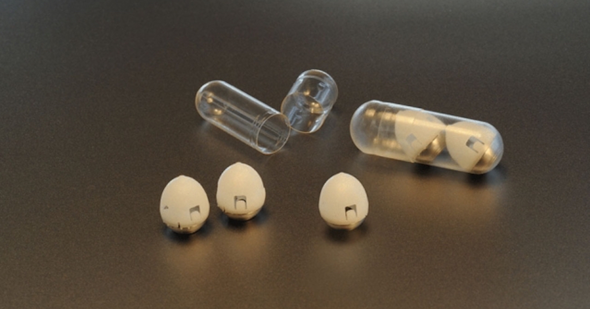 Radical Insulin Delivery Pill Inspired by Tortoise Shell