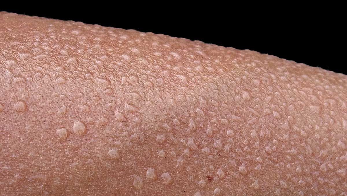 Artificial Skin Could Give Superhuman Senses