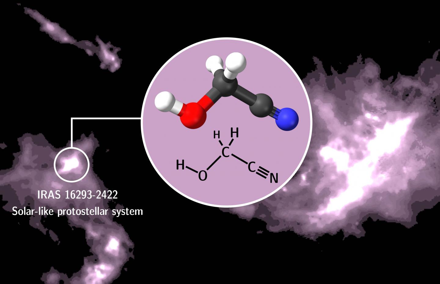 We May All Be Star Material, Finds New Study