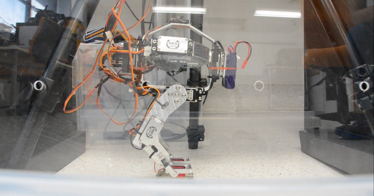 These Simple and Cheap Walking Robots Can Carry Your Shopping Home