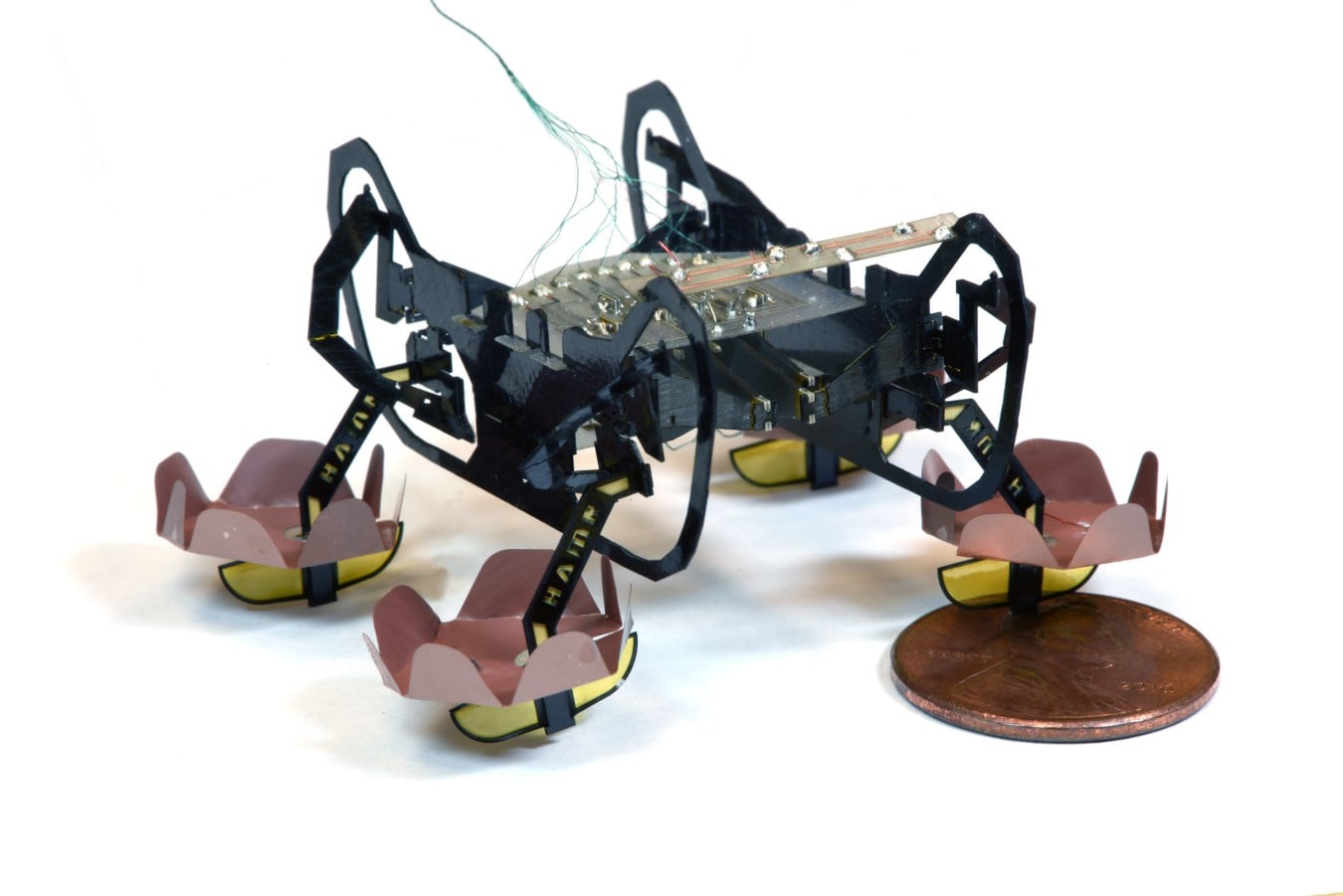 This Cockroach-Inspired Microbot Can Swim, Sink and Walk Underwater