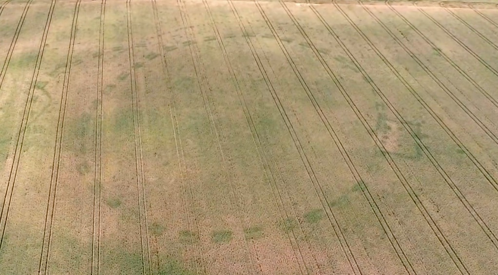 Drone Footage Captures 5,000-Year-Old Irish Henge Revealed By Drought
