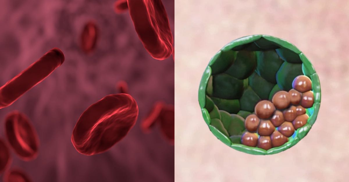 11 of the Most Exciting Stem Cell Research and Studies Set to ...