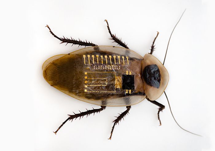 New Synthetic Nerve System Could Enable Prosthetic Limbs to Have a ...