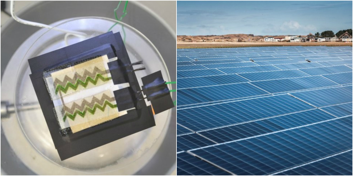 How the World Can Go Carbon-Emission Free: 15 Projects Shaking Up the ...