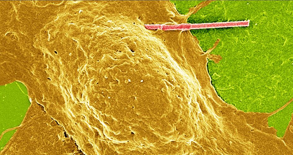 Researchers Invent Way to 'Hack' Into the Brain's Electrical Signals