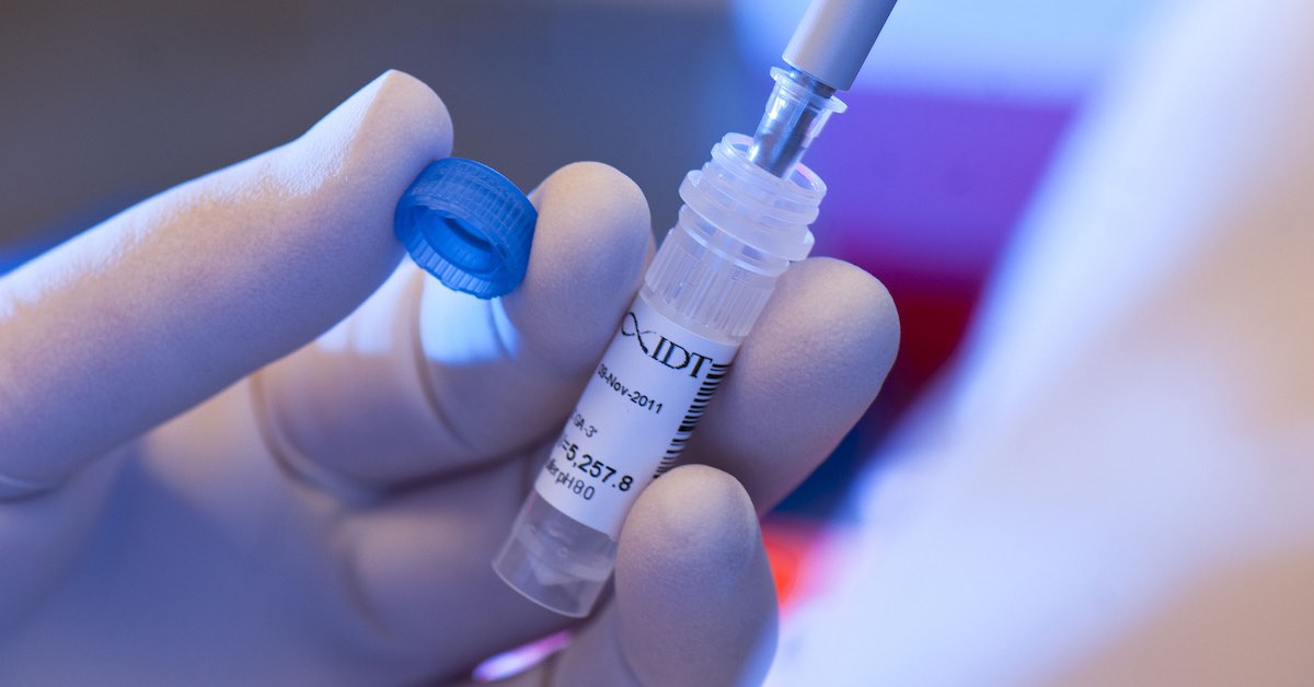 The City of Dubai Will DNA Test All Its 3 Million Residents