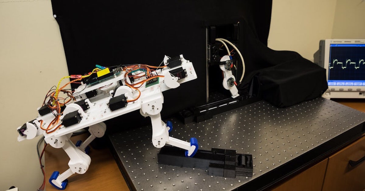 AI-Driven Robotic Leg Teaches Itself to Walk